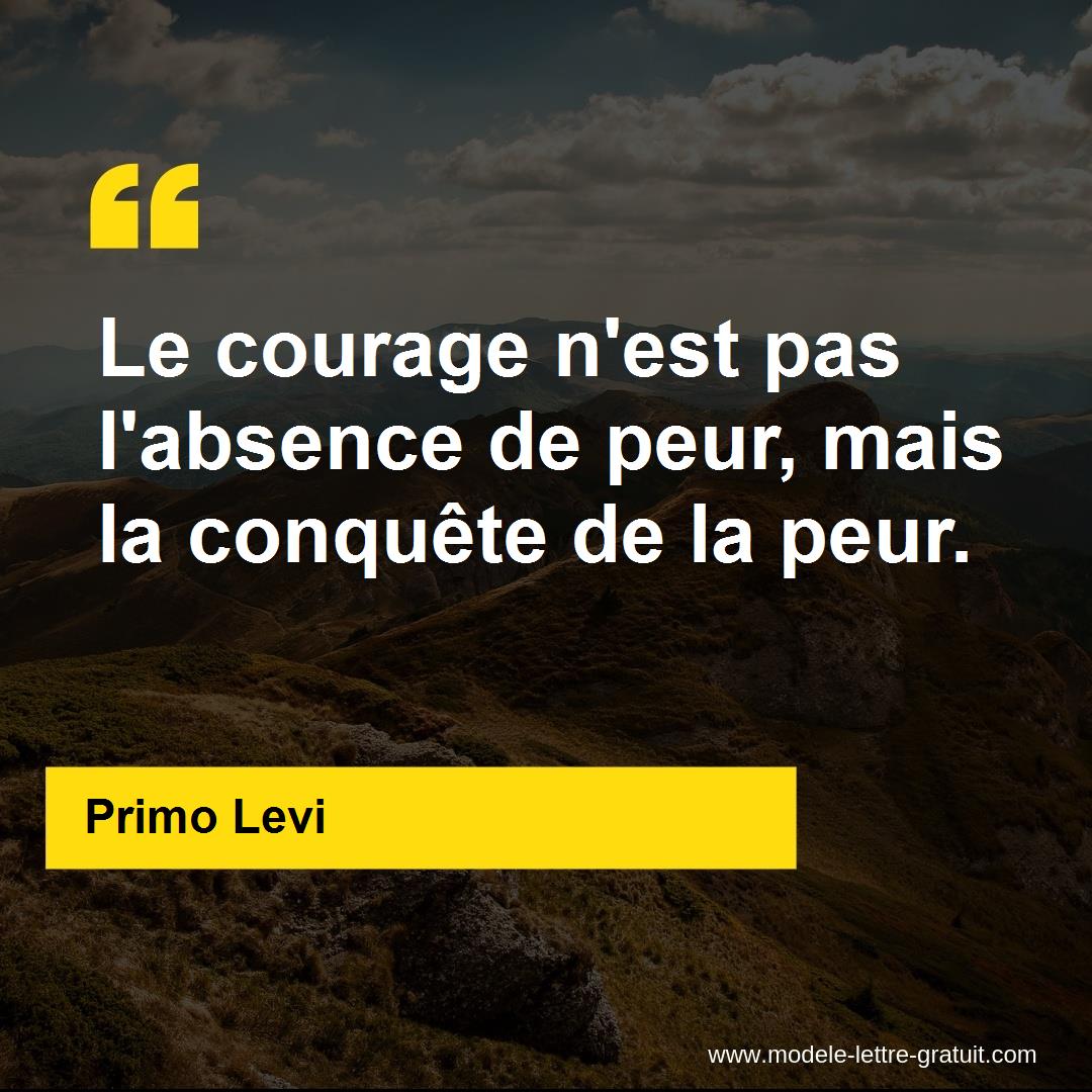 Le courage n'est pas l'absence de peur, mais la conquête de la…