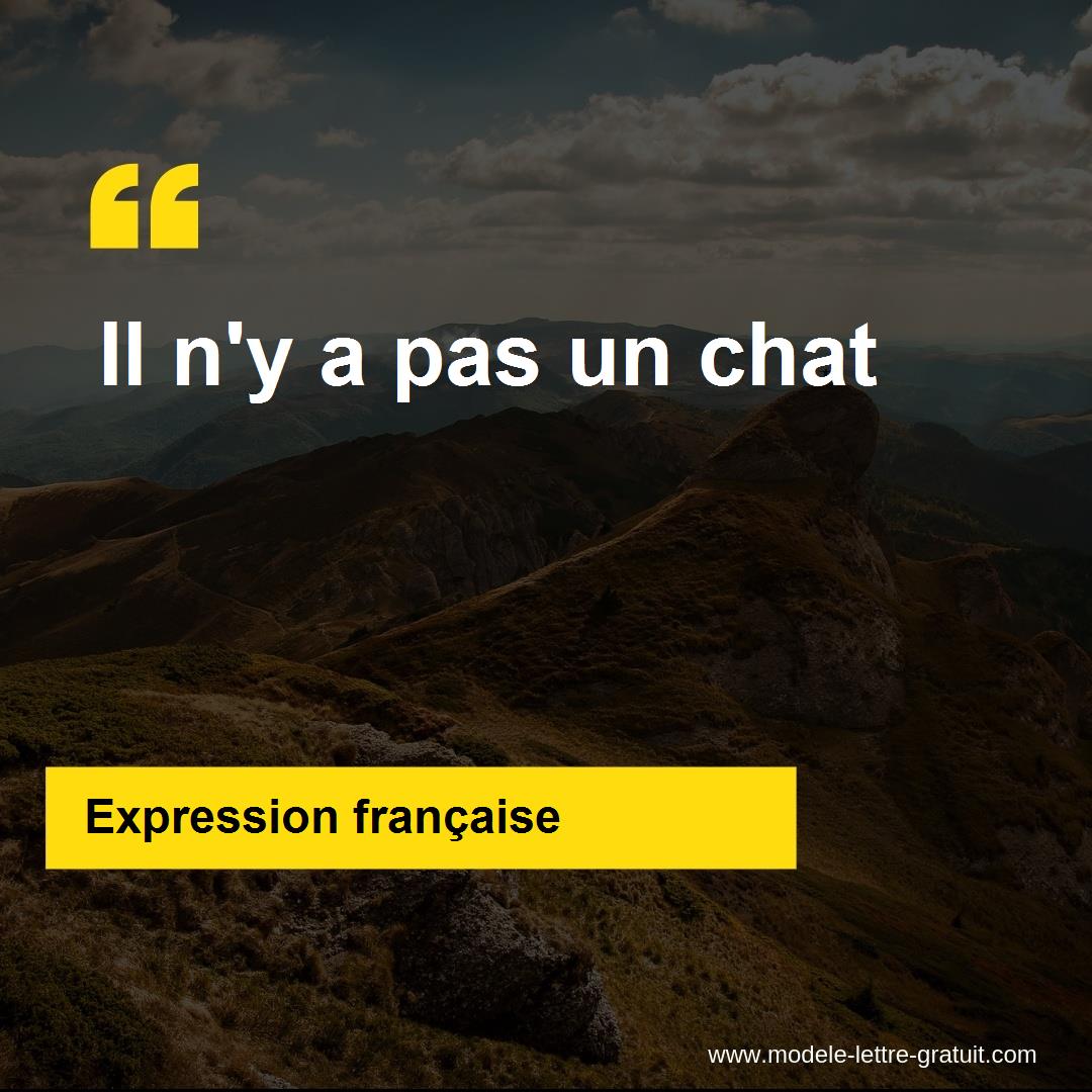 L'expression « Il n'y a pas un chat », signification et origine