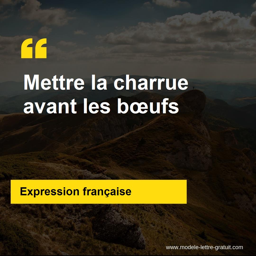 L'expression « Mettre la charrue avant les bœufs », signification et ...