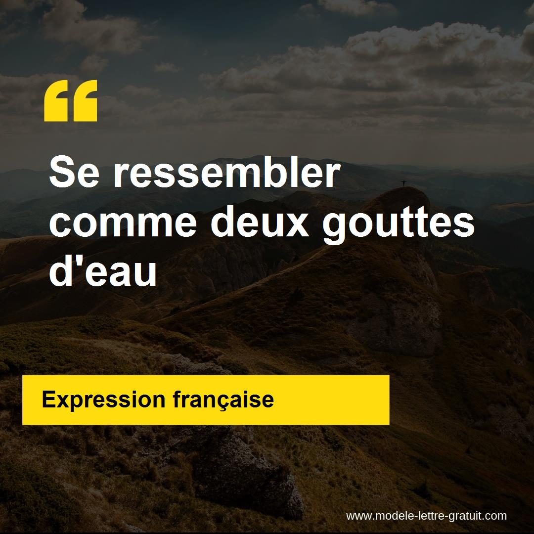 L'expression « Se ressembler comme deux gouttes d'eau », signification ...
