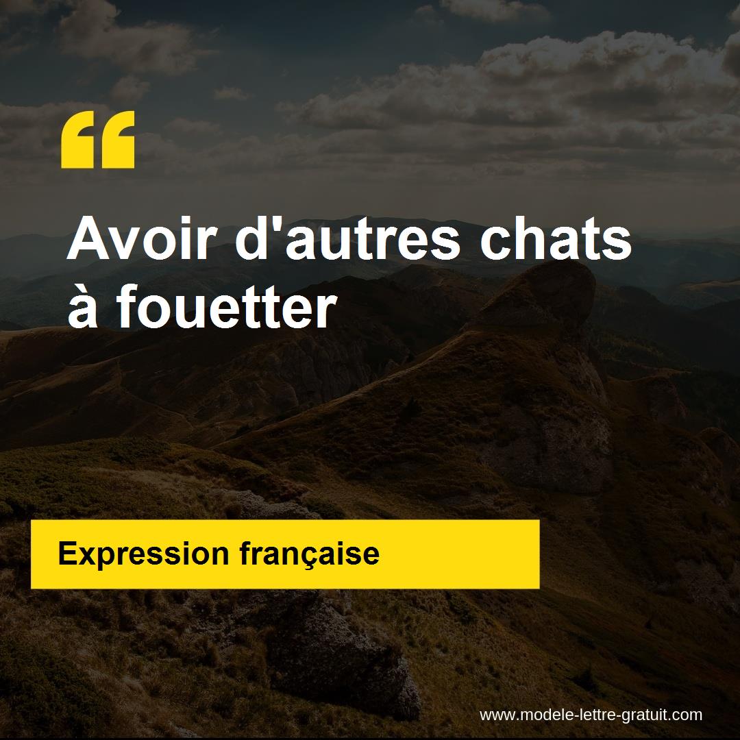 L'expression « Avoir d'autres chats à fouetter », signification et origine